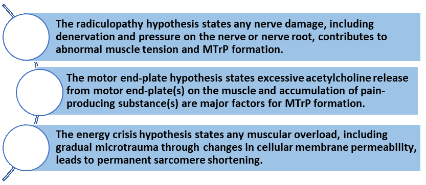 Treating Myofascial Trigger Points (MTrPs) - iOrtho+®